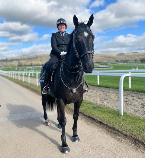 Our Partners - NFRSA