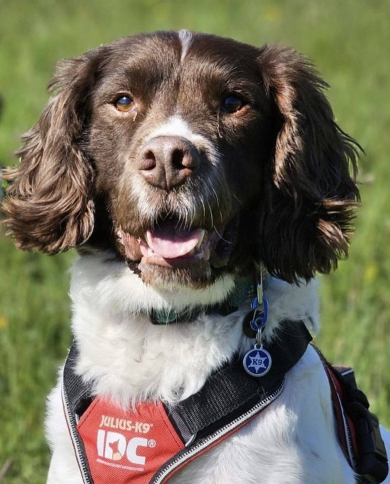 Beneficiaries of our Gifts - NFRSA